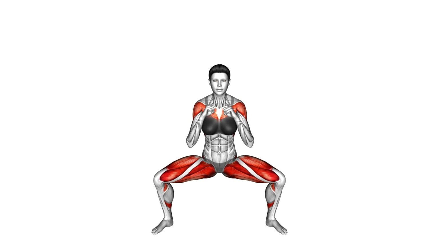 10 Effective Exercises Long Head Bicep For Sculpted Peaks Workout Guru