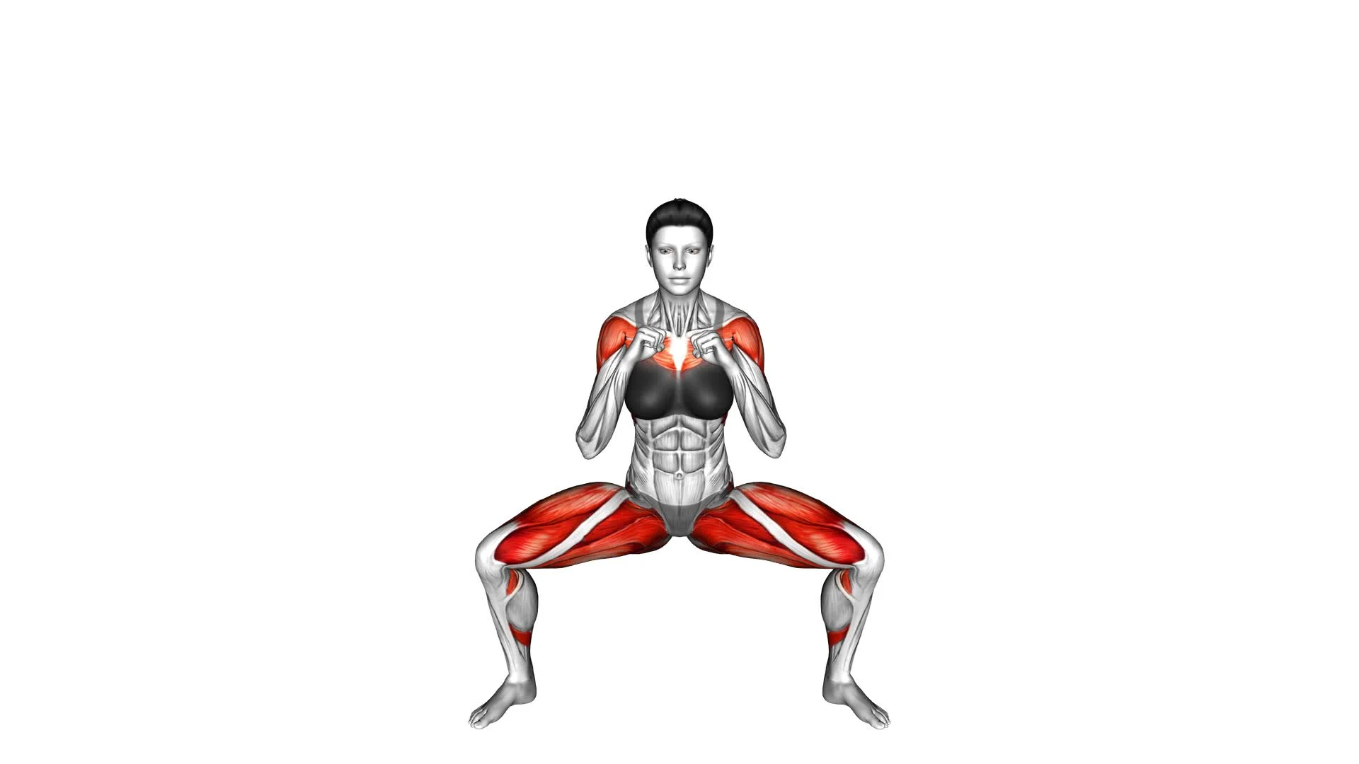 10 Effective Quadruped Exercises To Strengthen Your Core And Improve ...
