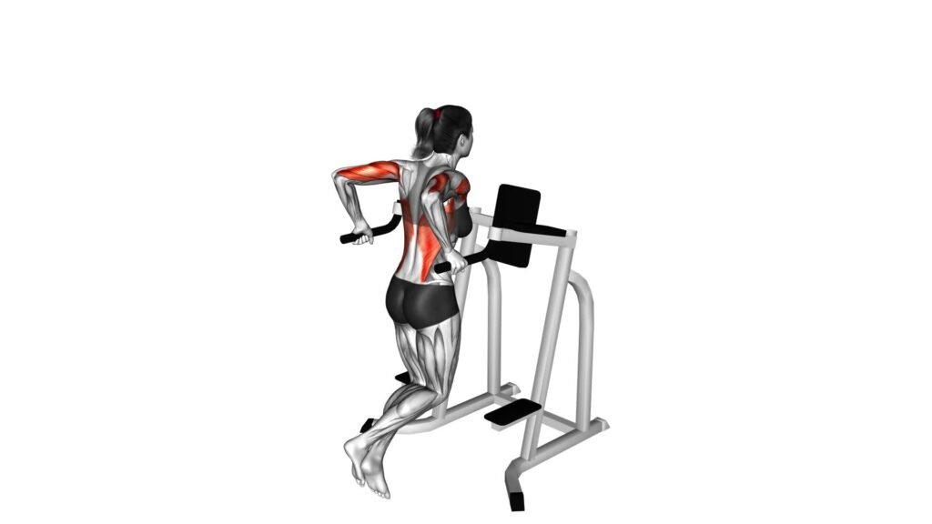 Triceps Dip (female) - Ultimate Video Guide & Expert Tips
