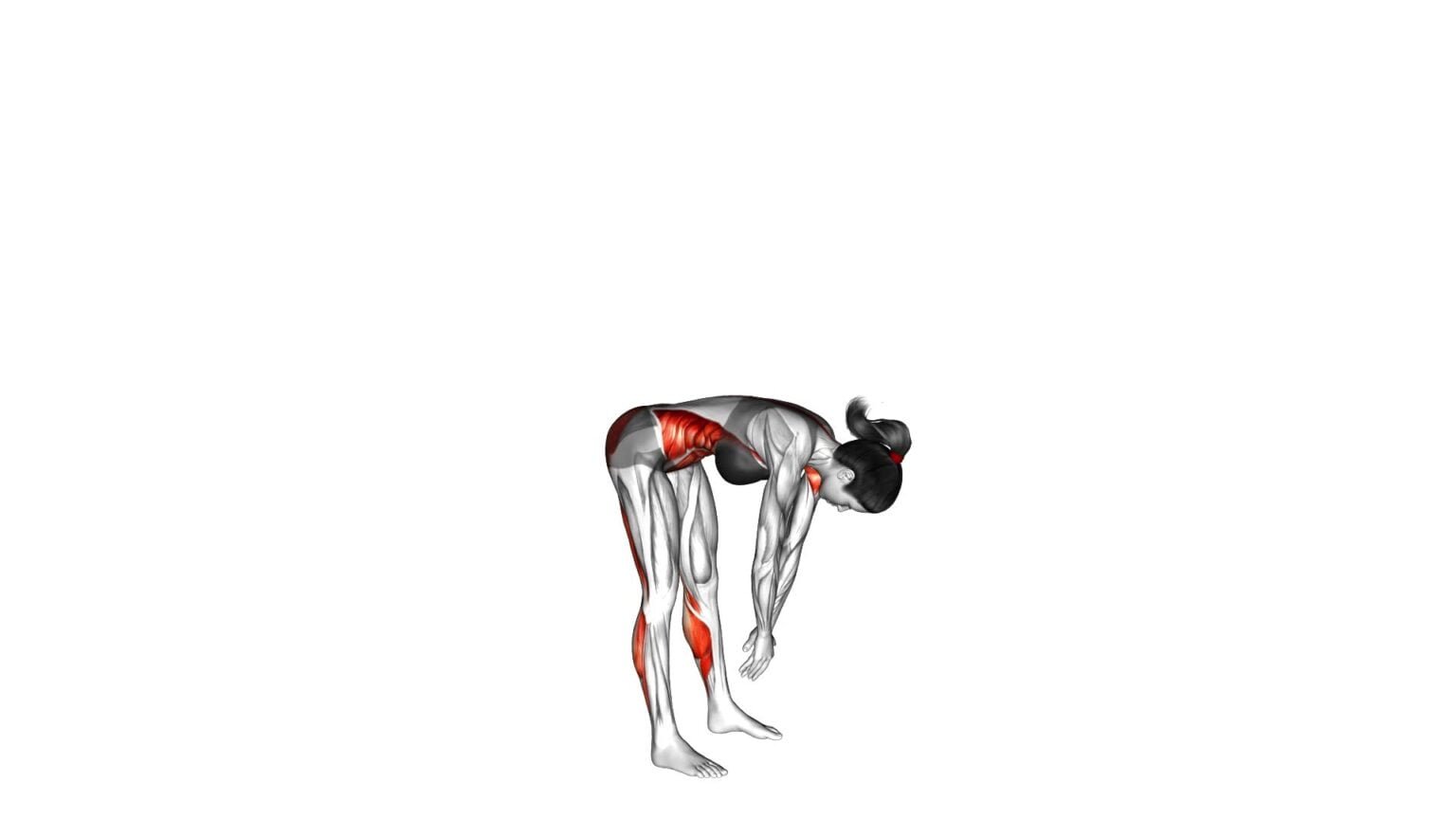Side Two Front Toe Touching (female) - Exercise Guide & Tips