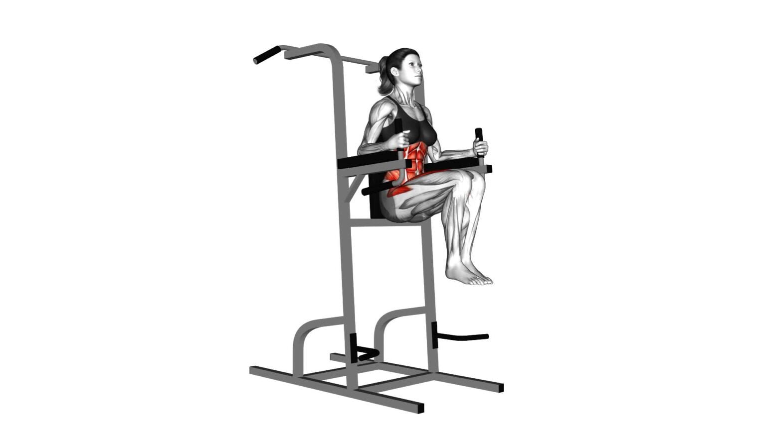 Vertical Leg Raise - Video Guide & Tips