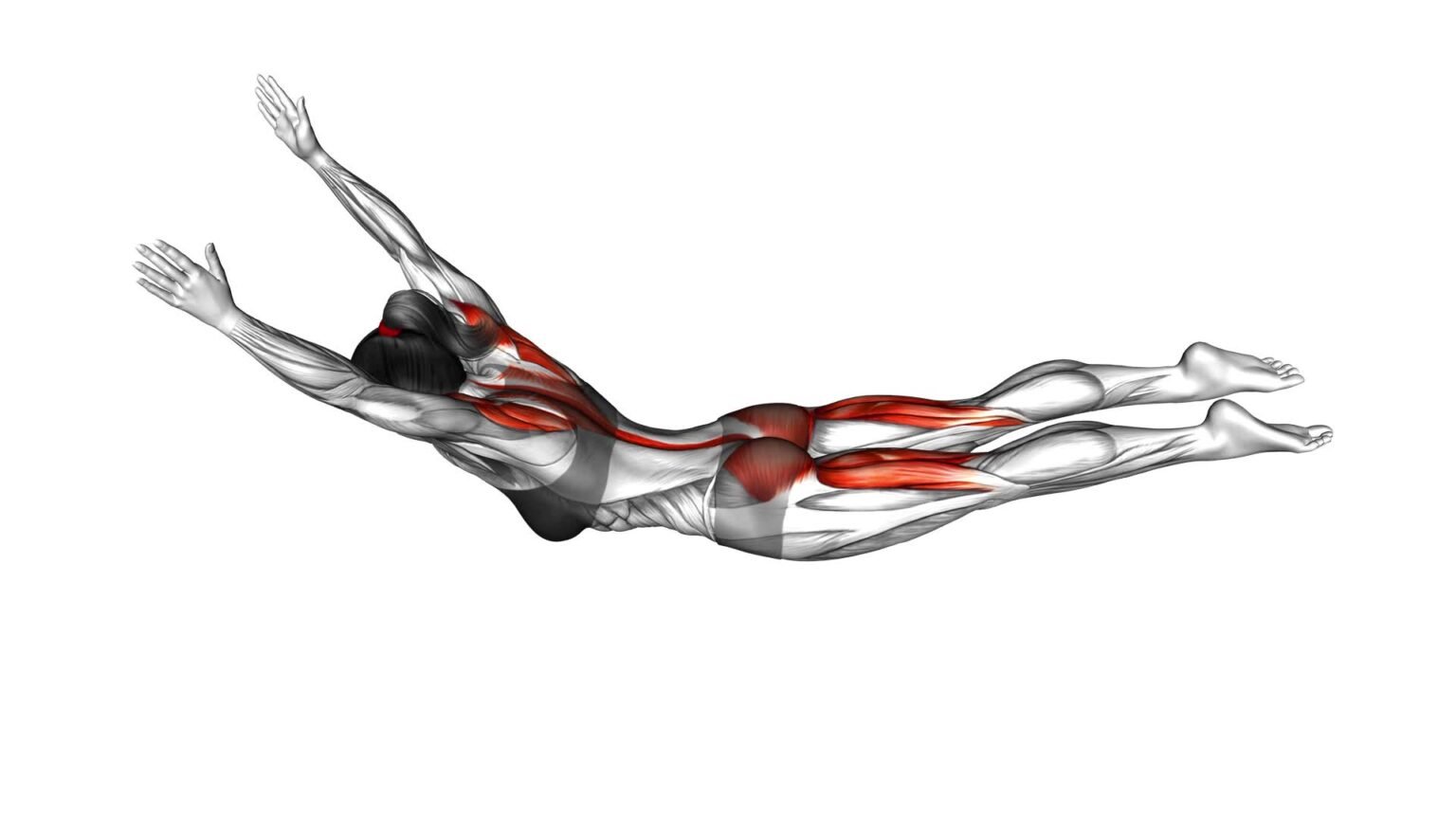 Superman Row (Female) - Ultimate Exercise Guide & Tips