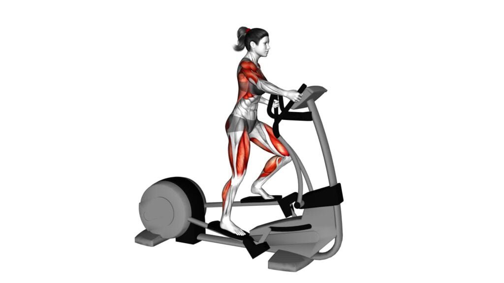 Ultimate Elliptical Cross Trainer Guide For Women - Video Tips & Exercises