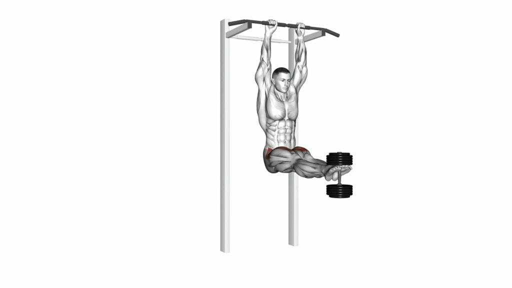 Hips Exercises - Workout Guru