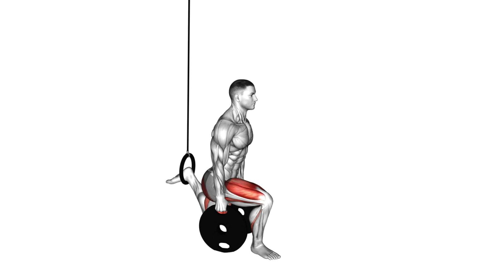 Weighted Plates Bulgarian Split Squat: Video Guide & Tips
