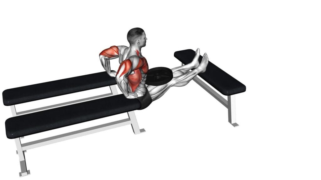 Weighted Bench Dips: Ultimate Video Guide & Tips