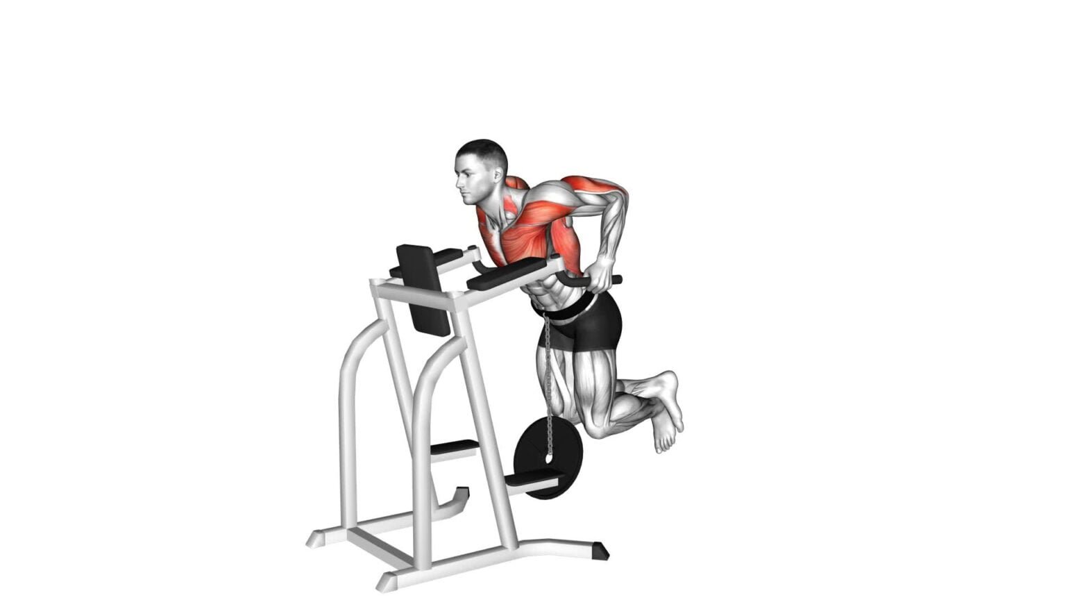 Weighted Bench Dips: Ultimate Video Guide & Tips