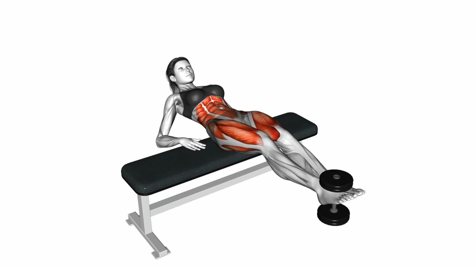 Weighted Twisting Crunch: Bench Exercise Guide & Tips (Male) - Video