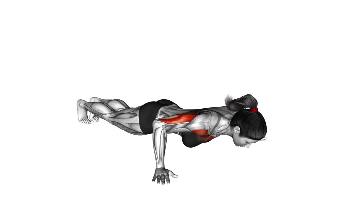 Push-up Hand By Hand - Video Guide & Tips