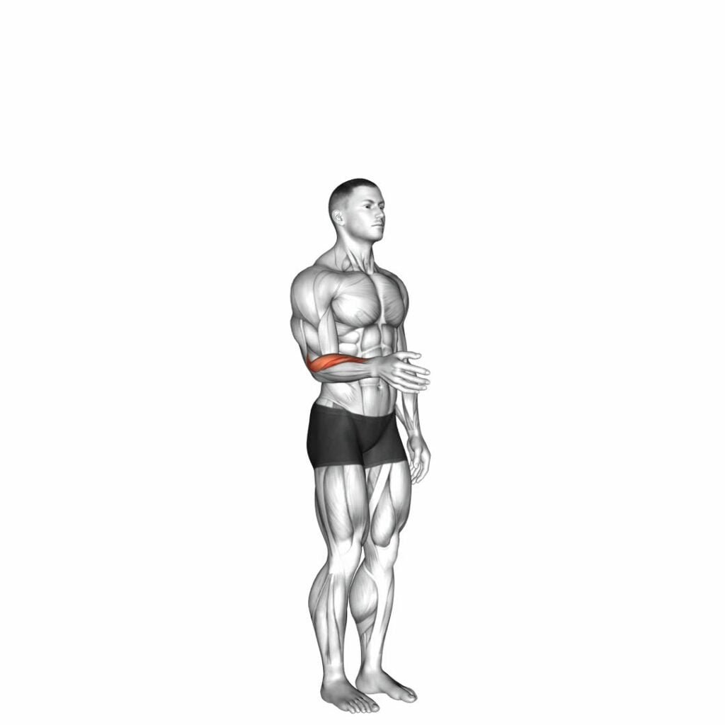 Wrist Extension Exercise: Video Guide & Tips For Stronger Wrists