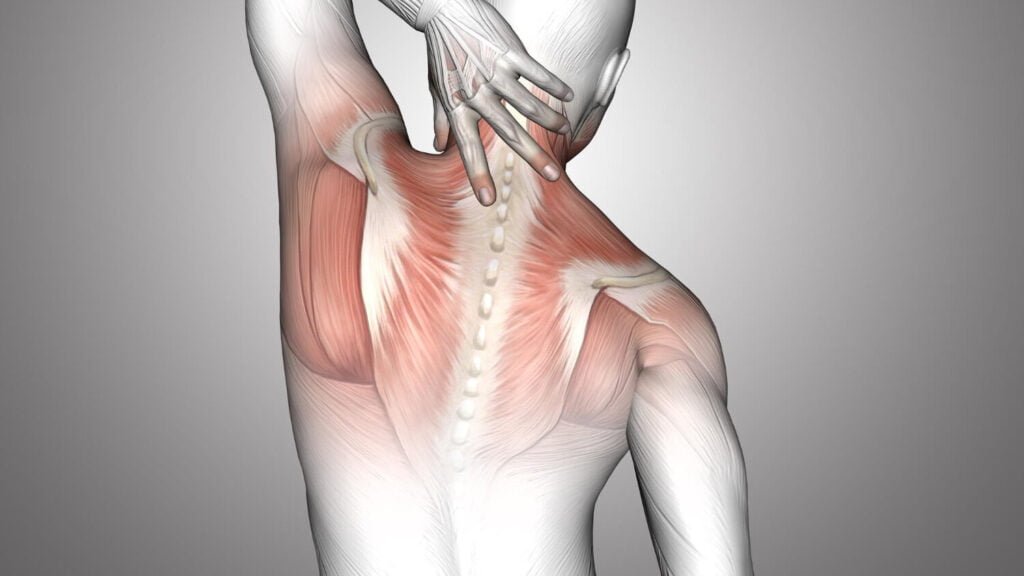 5 Effective Lats Stretching Exercises For Improved Flexibility And ...