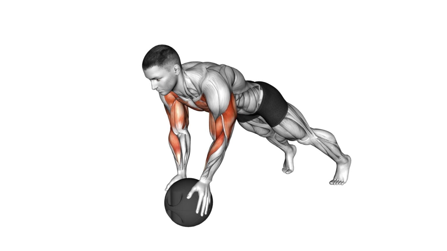 Hamstring Vs Quad Exercises: A Guide To Balancing Leg Workouts ...