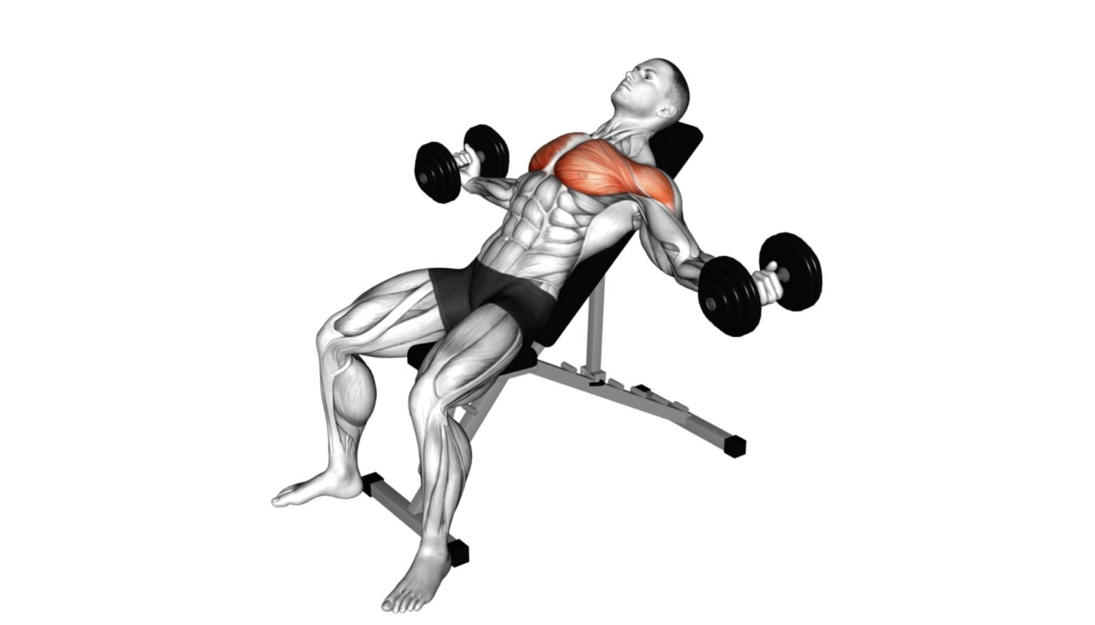 7 Exercises To Do Everyday At Home Get Fit Fast Workout Guru