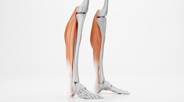 Top 7 Effective Gastrocnemius Exercises For Stronger And Toned Calves ...