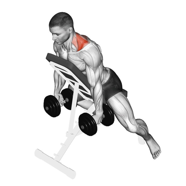 7 Dumbbell Exercises For Traps: Build Stronger And Fuller Upper Back ...