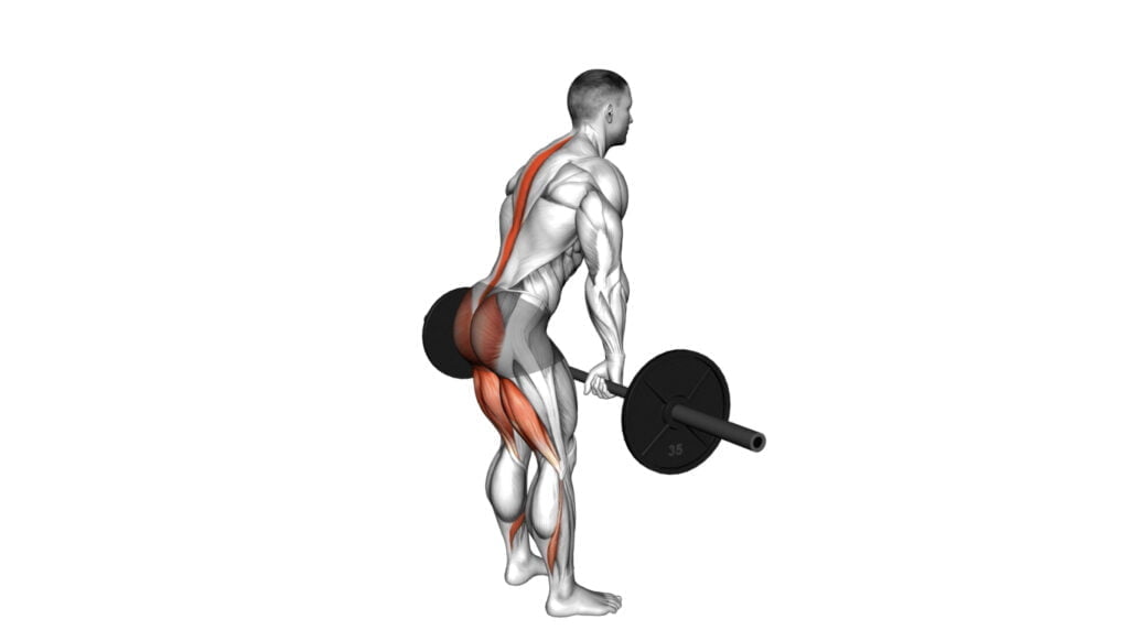 10 Compound Glute Exercises To Sculpt And Strengthen Your Glutes ...