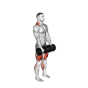 7 Dumbbell Exercises For Traps: Build Stronger And Fuller Upper Back ...