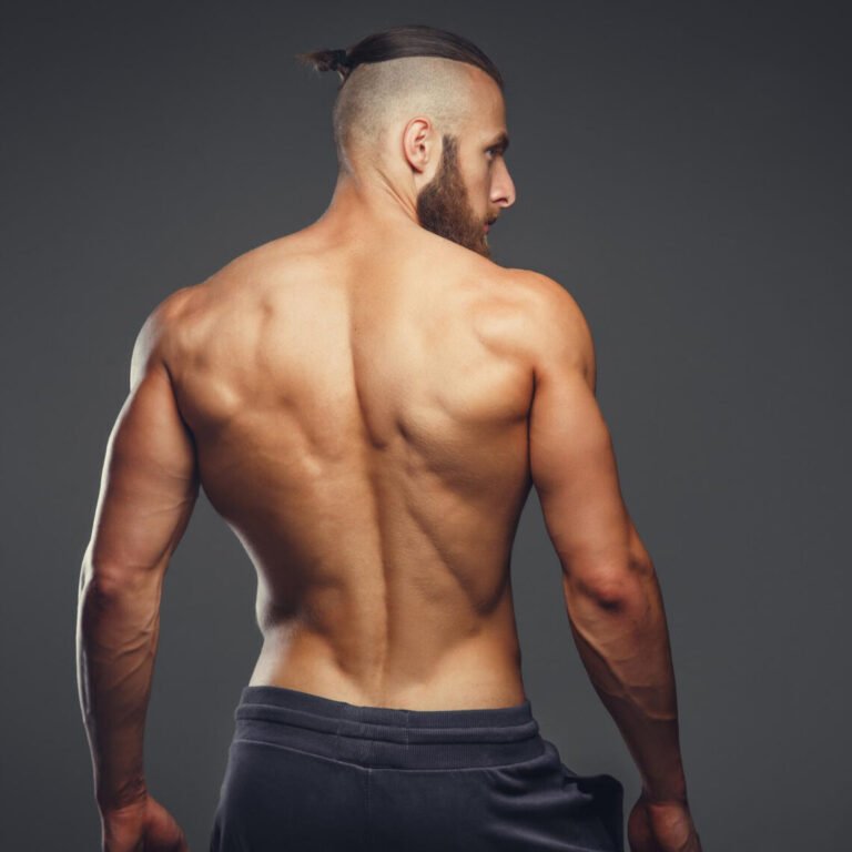 10 Pull Day Exercises With Dumbbells For Ultimate Muscle Gain - Workout ...