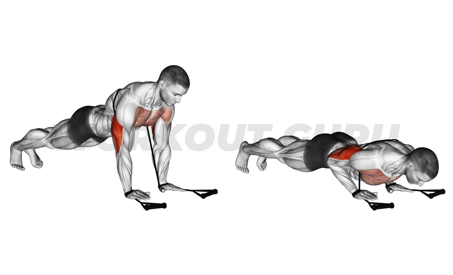 5 Effective Resistance Band Exercises For Triceps - Workout Guru