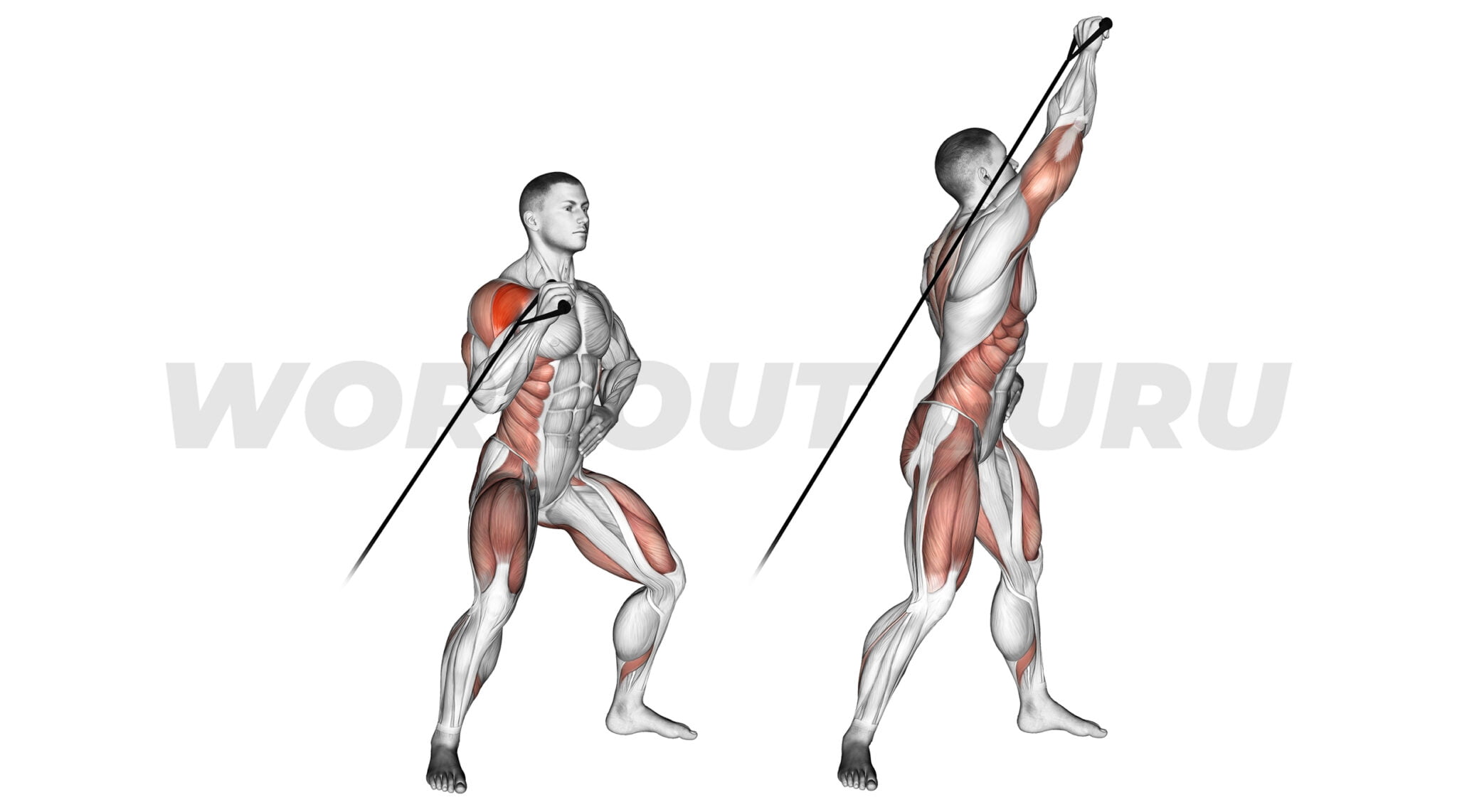 5 Effective Resistance Band Exercises For Triceps - Workout Guru