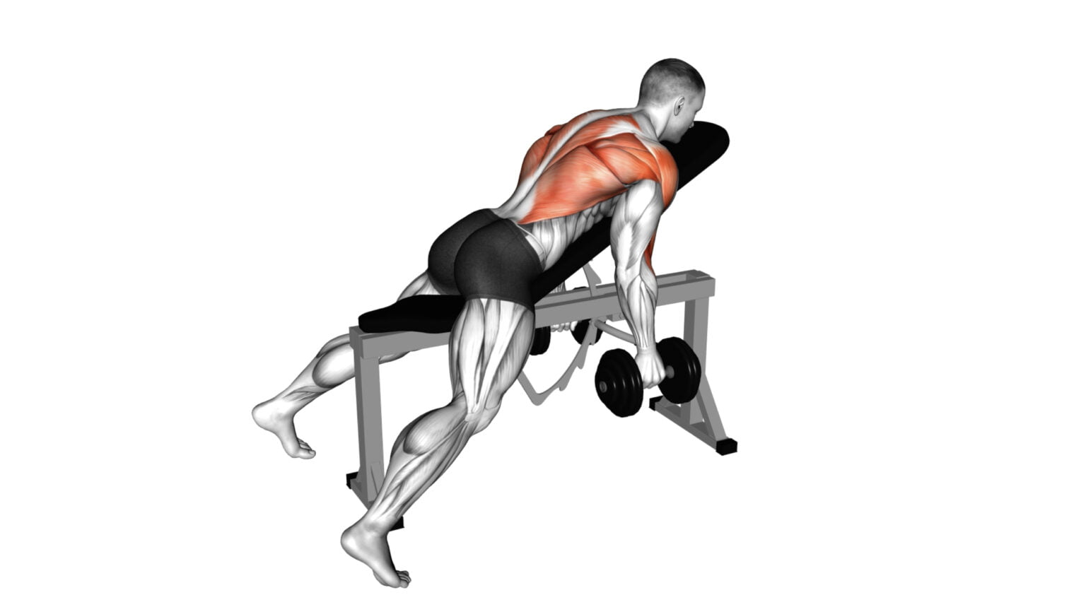 10 Effective Exercises For Pec Major Muscles - Workout Guru