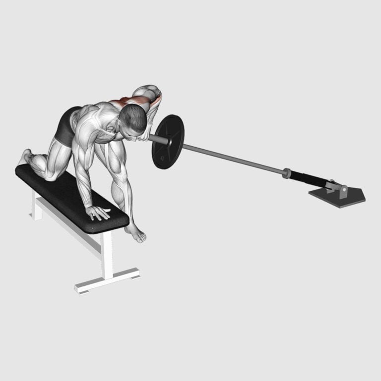 5 Essential Landmine Back Exercises For A Stronger Upper Body - Workout ...