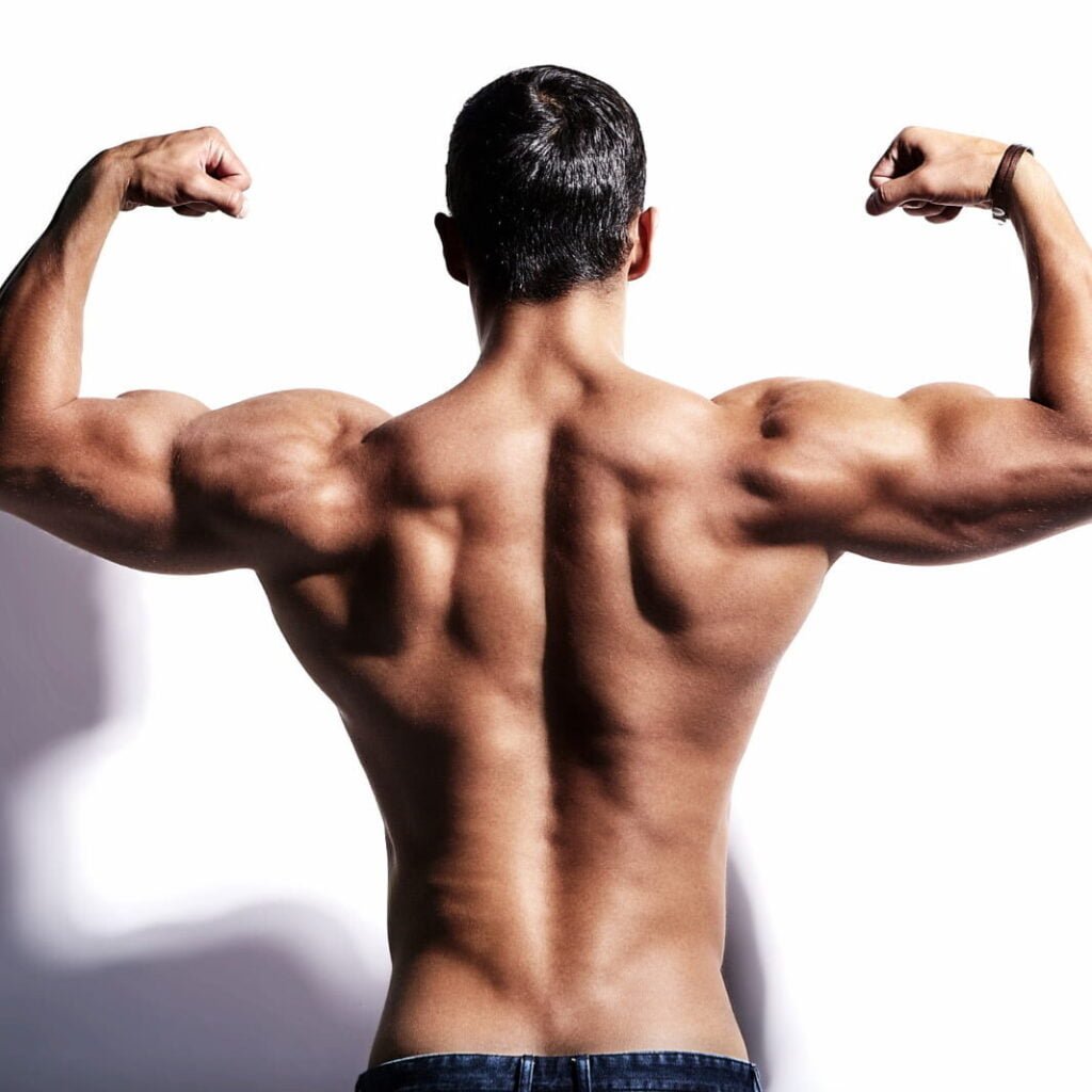10 Exercises For Teres Major That Will Sculpt Your Back - Workout Guru