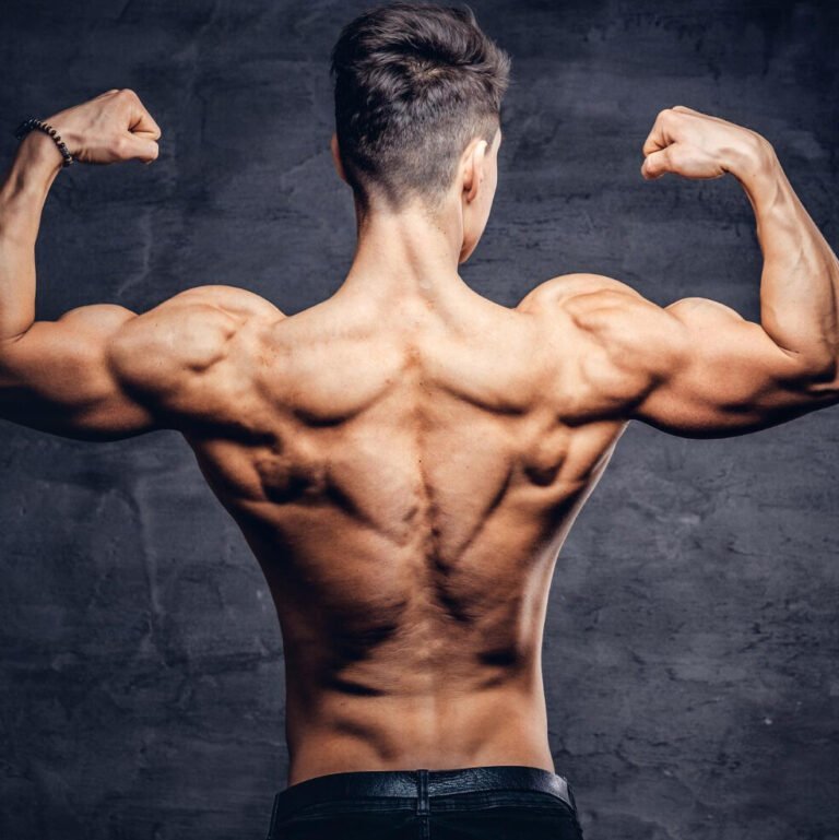 10 Deltoid Muscle Exercises To Strengthen And Tone Your Shoulders ...