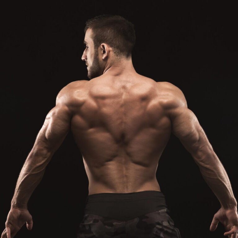 Build Sculpted Arms With 10 Outer Triceps Head Exercises - Workout Guru