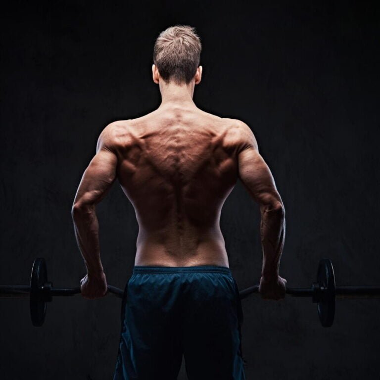 10 Barbell Back Exercises To Build Muscle And Strength - Workout Guru