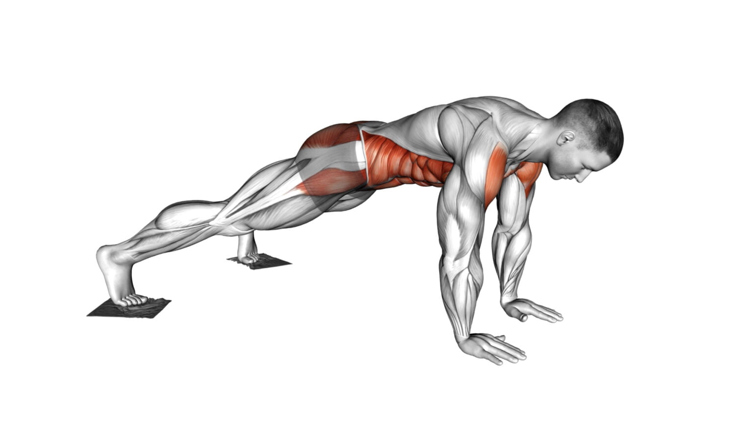 Mastering Plank Exercises For Beginners: A Step-by-Step Guide To ...