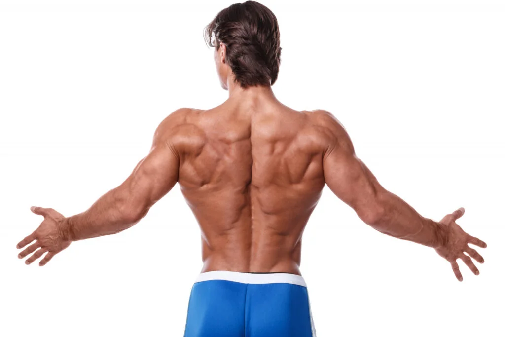 10 Lower And Middle Trap Exercises For Enhanced Posture And Strength ...