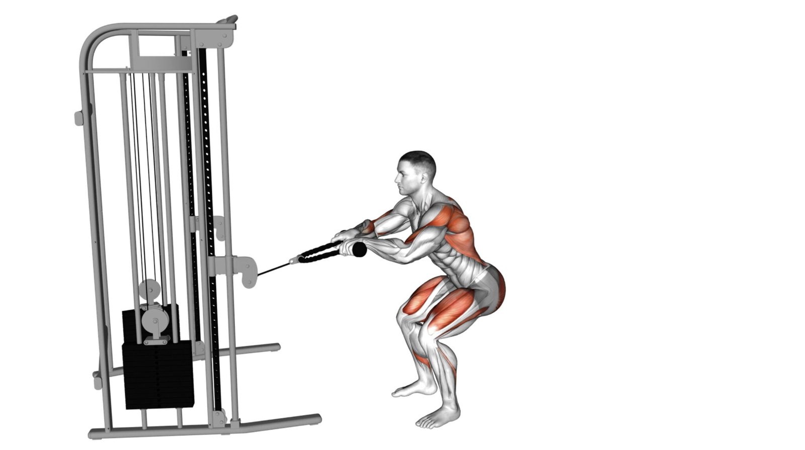 10 Outer Bicep Exercises To Sculpt And Strengthen Your Arms - Workout Guru