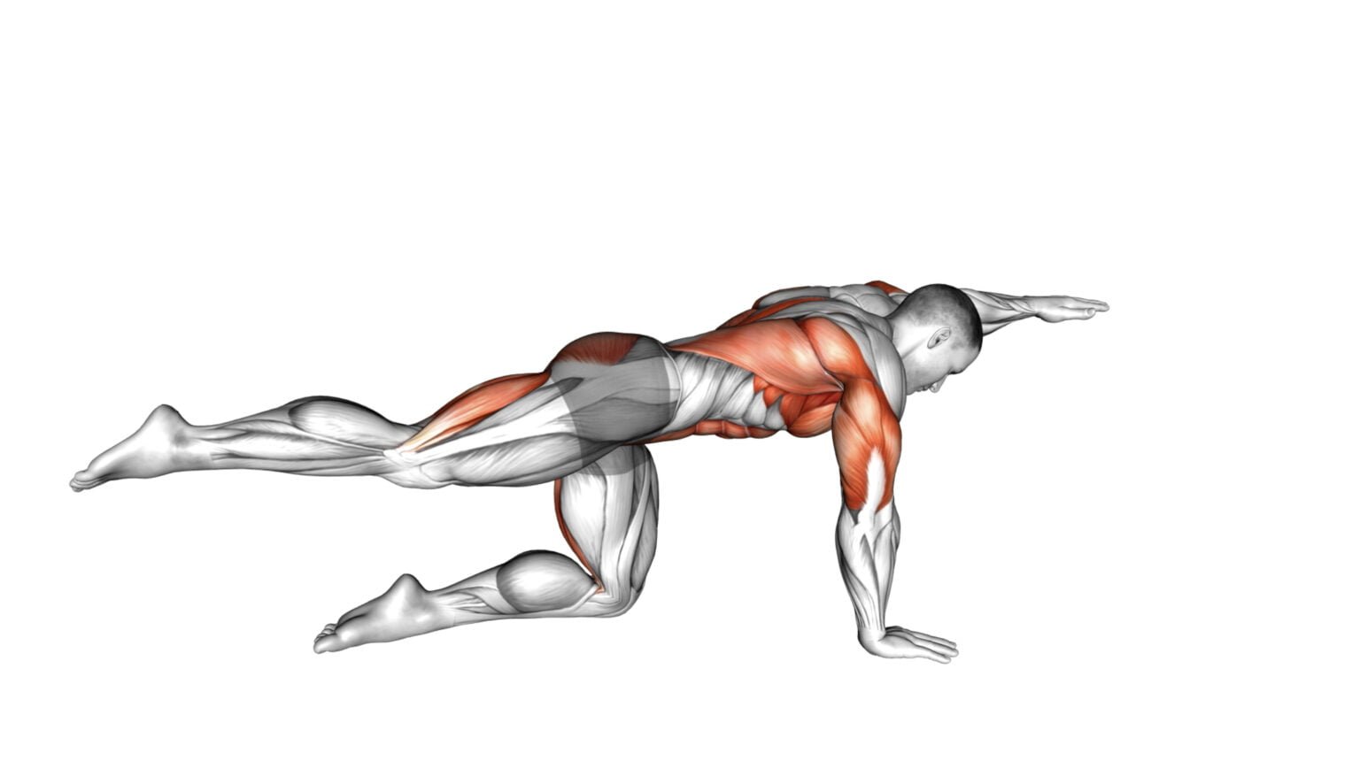 10 Compound Exercises For The Back The Ultimate Guide Workout Guru