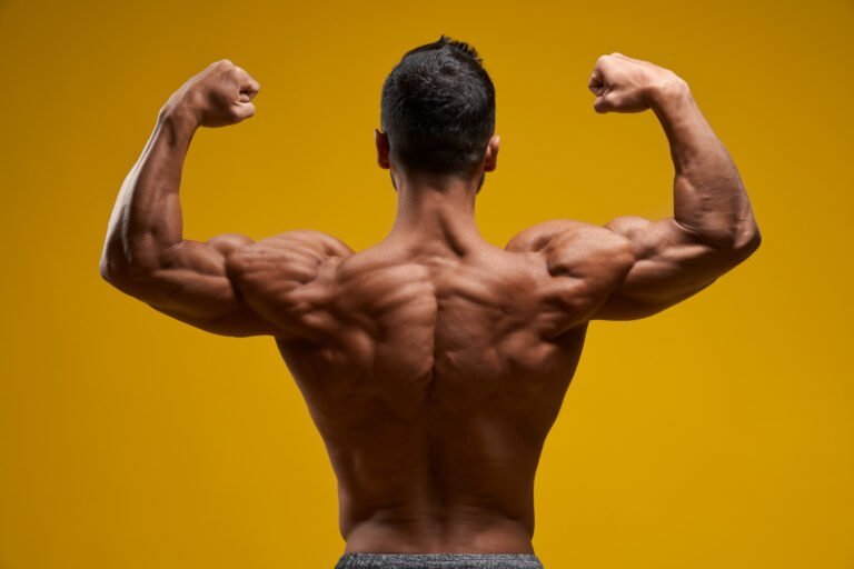 9 Effective Scapular Retraction Exercises For Improved Shoulder ...