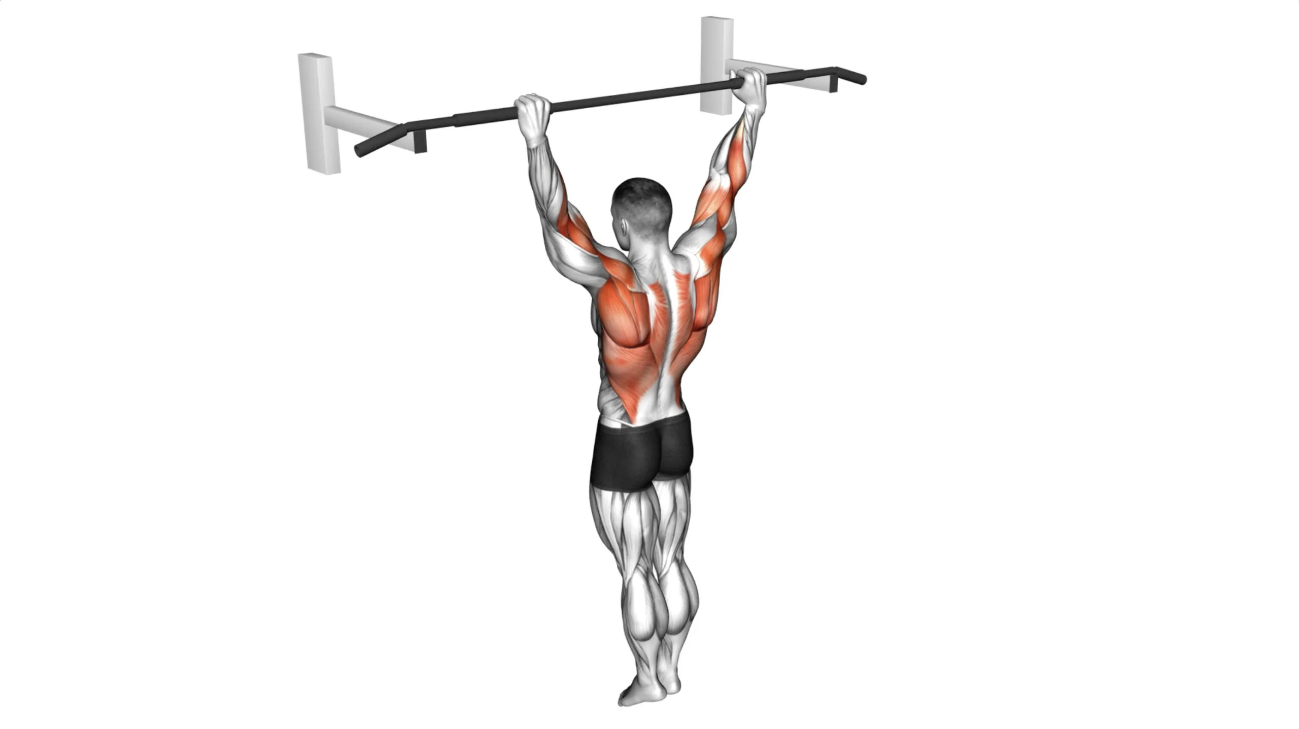 10 Effective Vertical Pull Exercises To Strengthen Your Back And Lats ...