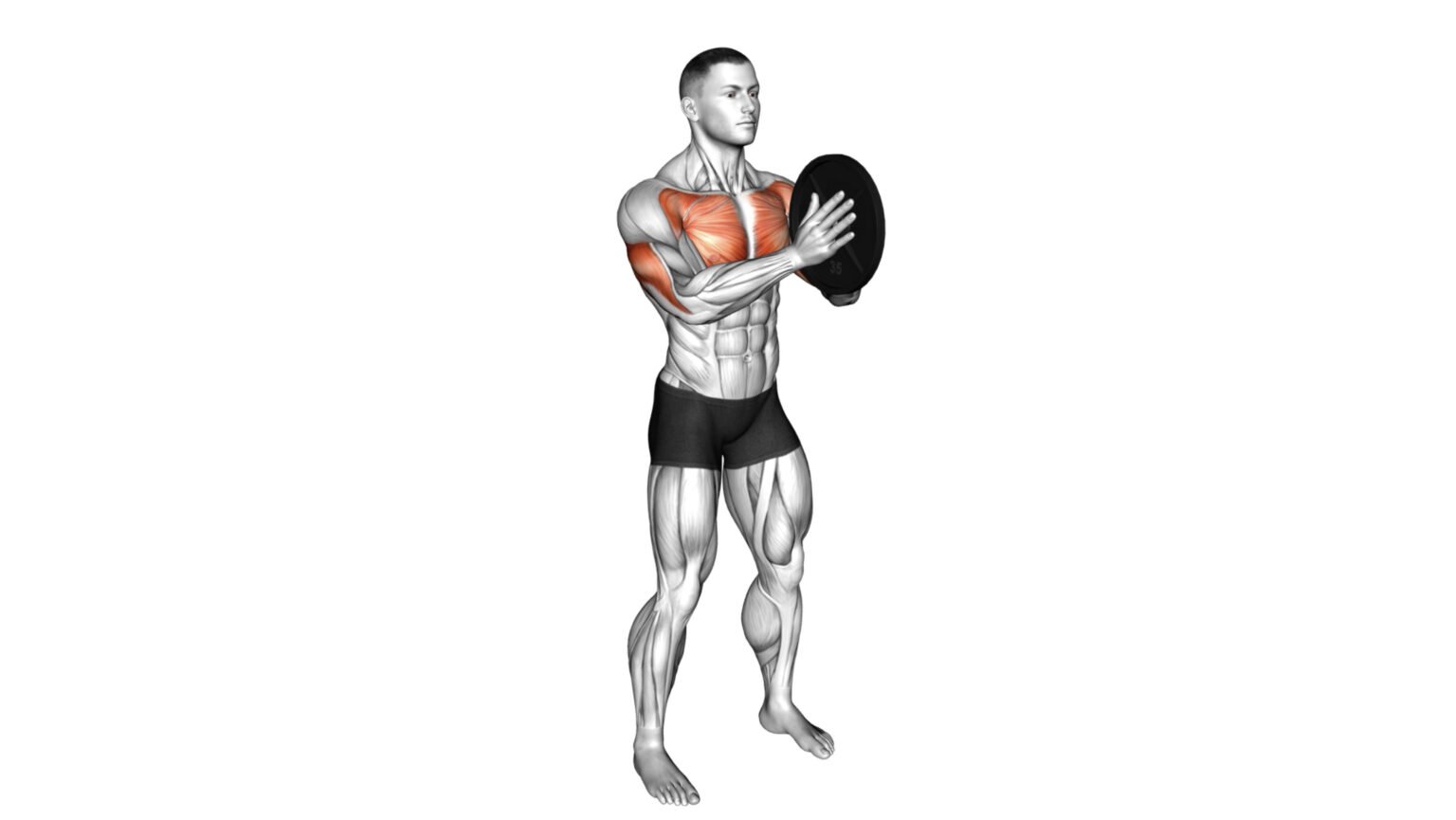 Unlocking The Top 7 Dips Exercise Benefits For Your Workout Routine Workout Guru