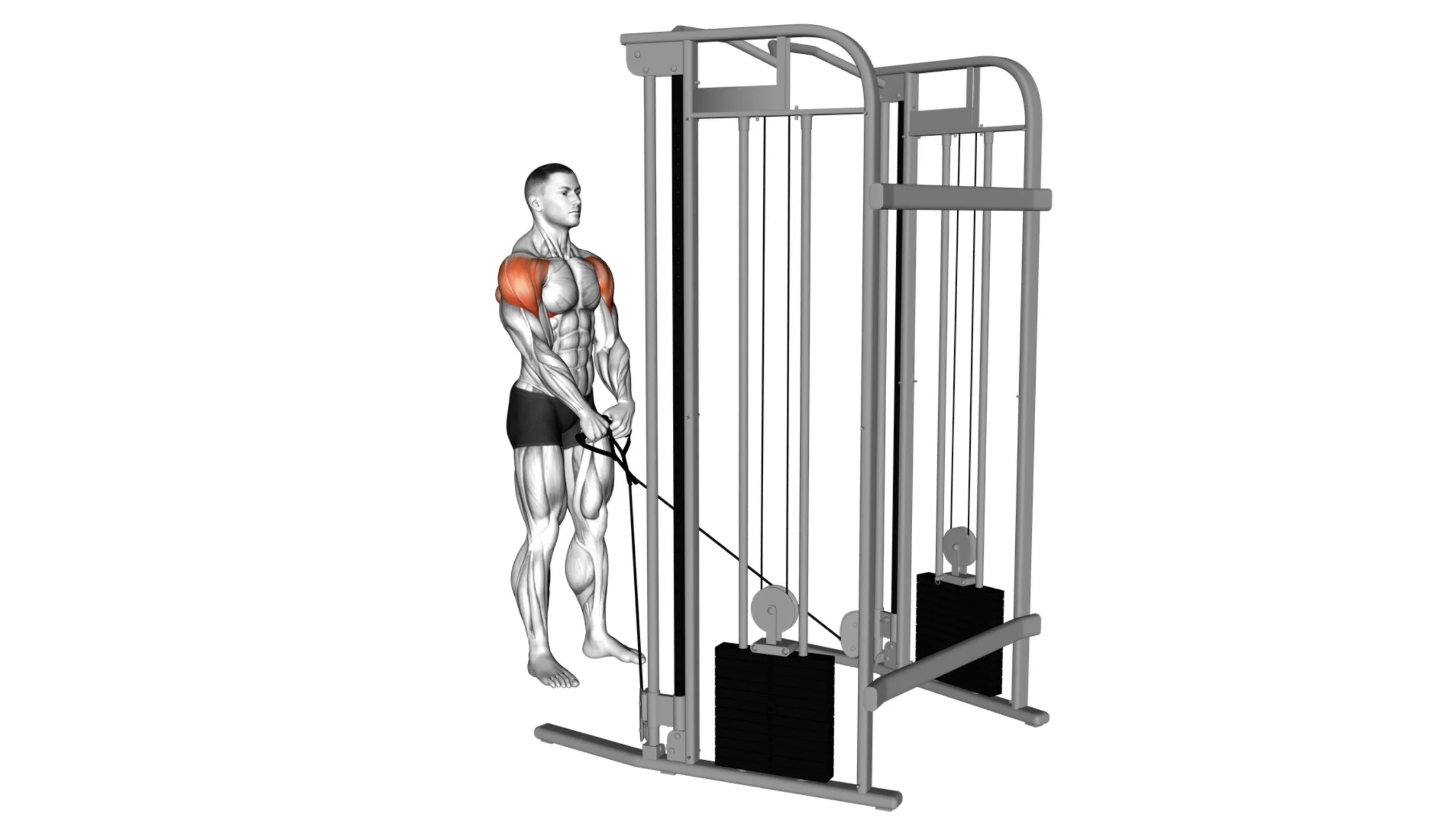 10 Essential Shoulder Exercises With Cables For Maximum Strength And ...