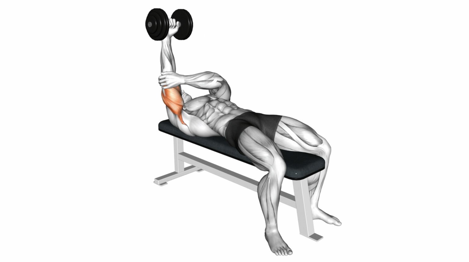 Best 10 Tricep Isolation Exercises For Building Muscle - Workout Guru