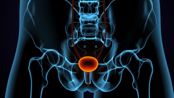 Can You Exercise Your Prostate? Prostate Health Exercises And Tips For ...