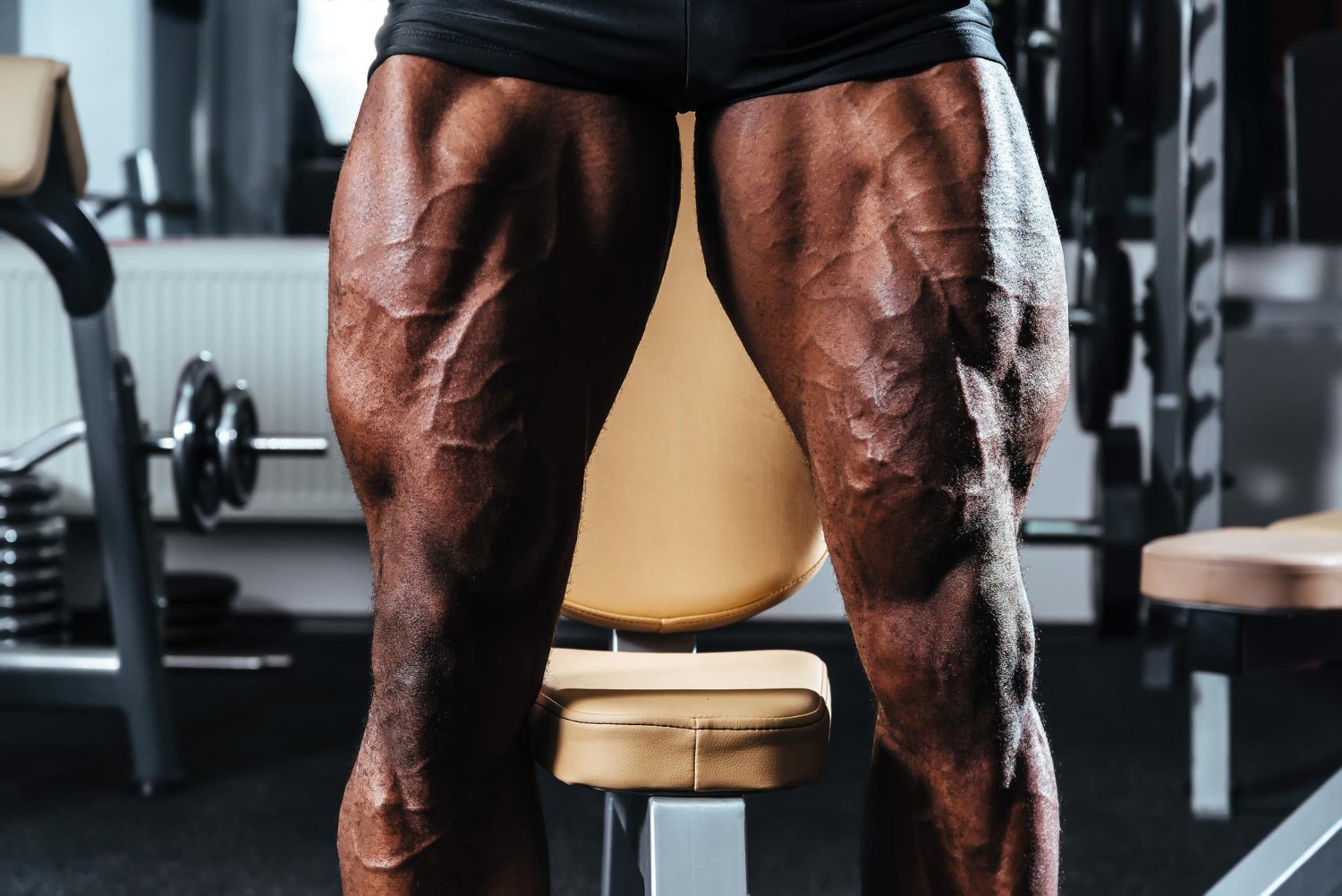 Why Workout Legs: 7 Reasons To Never Skip Leg Day - Workout Guru