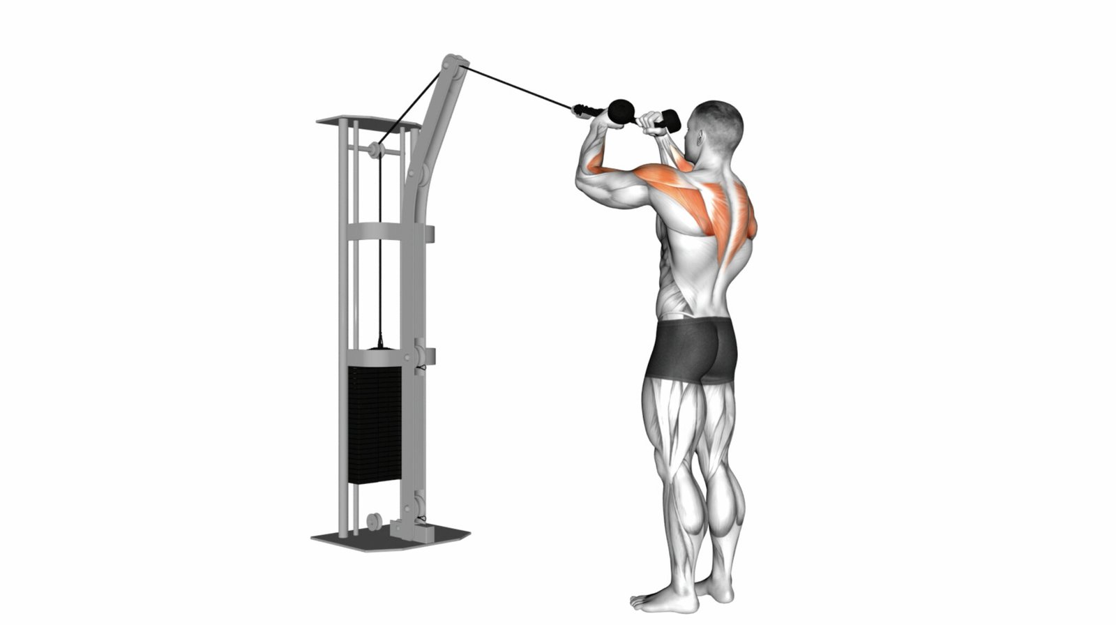 10 Teres Major Exercises For Strengthening And Toning Your Upper Body