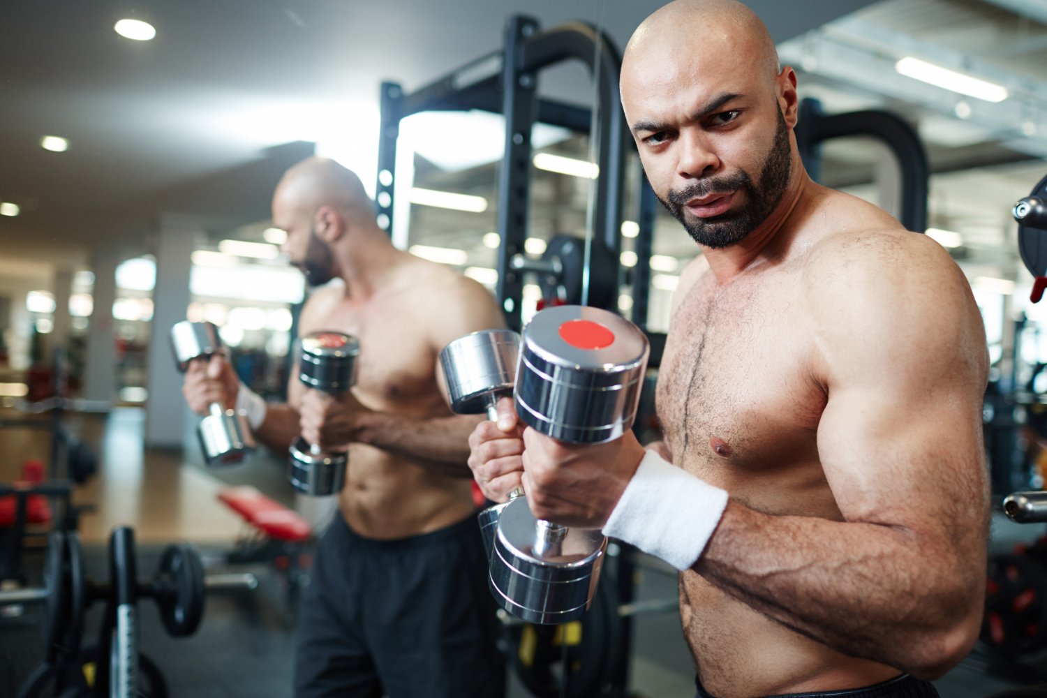 10 Effective Exercises Long Head Bicep For Sculpted Peaks Workout Guru
