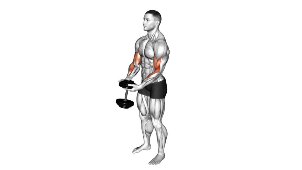 10 Bar Bicep Exercises To Sculpt Stronger And Defined Arms - Workout Guru
