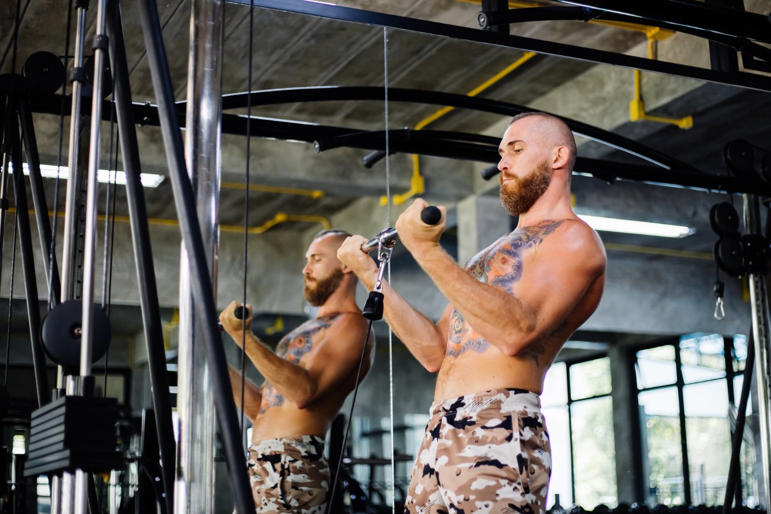 10 Effective Exercises Long Head Bicep For Sculpted Peaks - Workout Guru