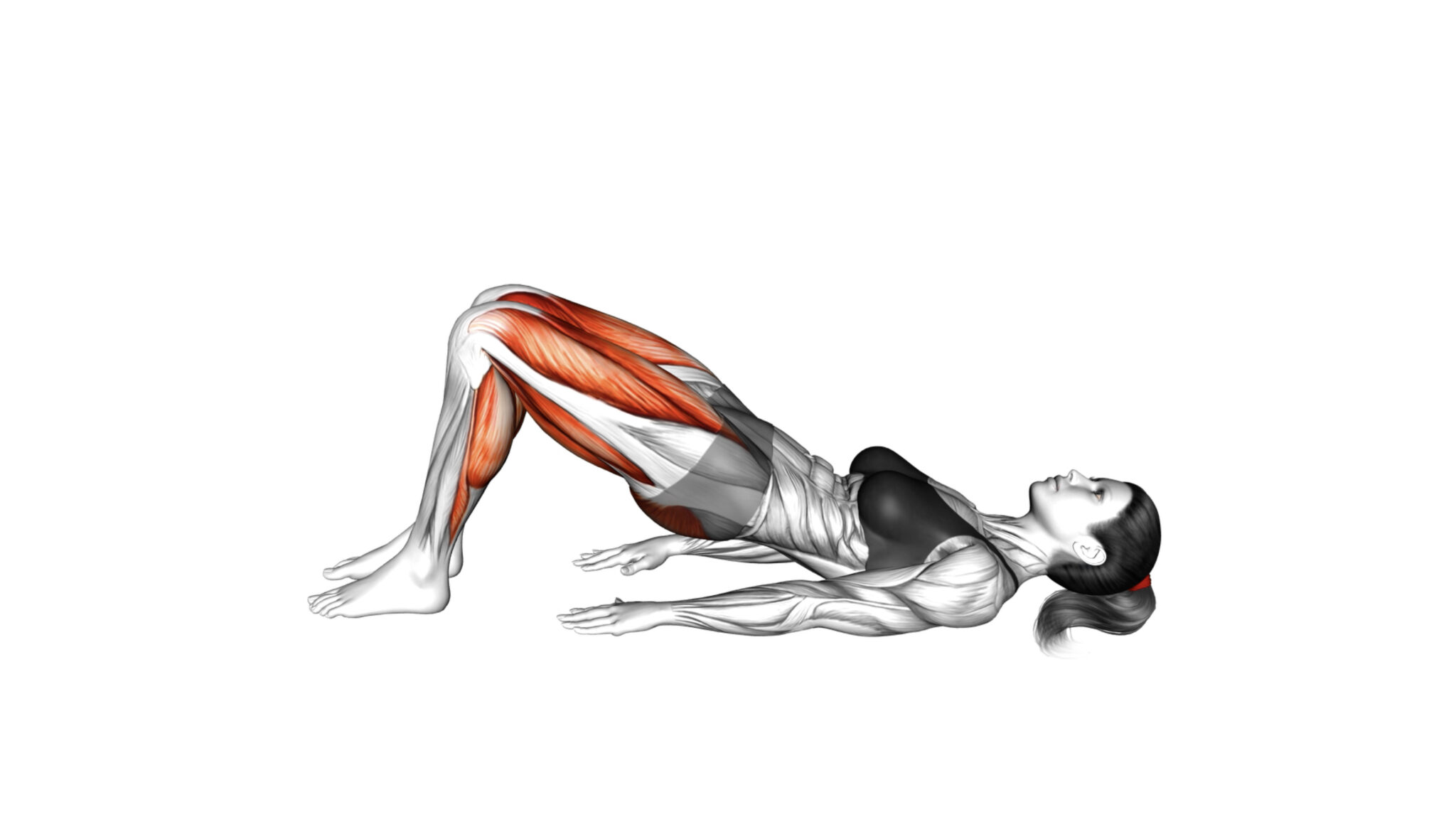 10 Effective Hip Adductor Muscles Exercises For Strength And Injury ...