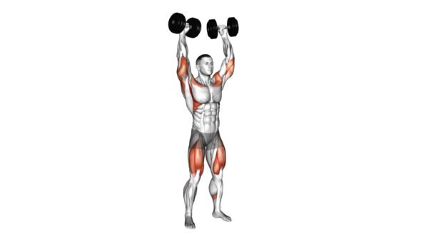 Uncover The Science Behind Why Exercise Gives You Energy - Workout Guru