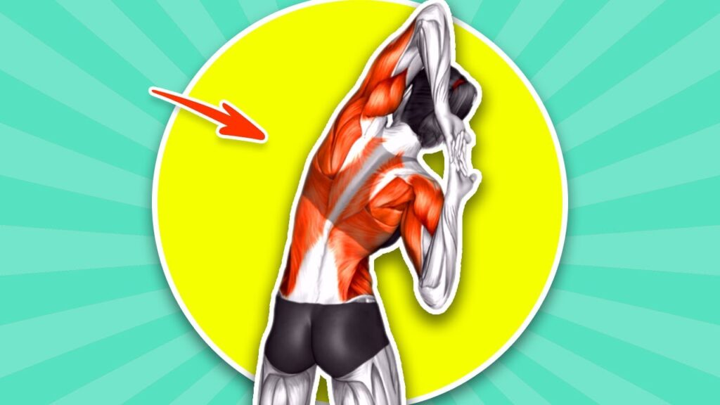 10 Effective Quadratus Lumborum QL Muscle Exercises For Strengthening ...